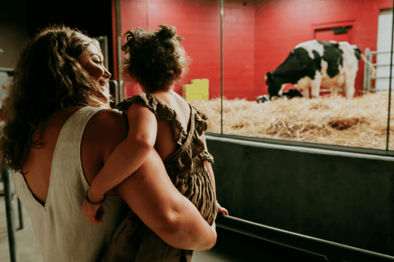 Fairfield by Marriott | Unique Barn Hotel | Fair Oaks Farms