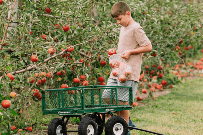 The Orchard at Fair Oaks Farms - Fair Oaks Farms